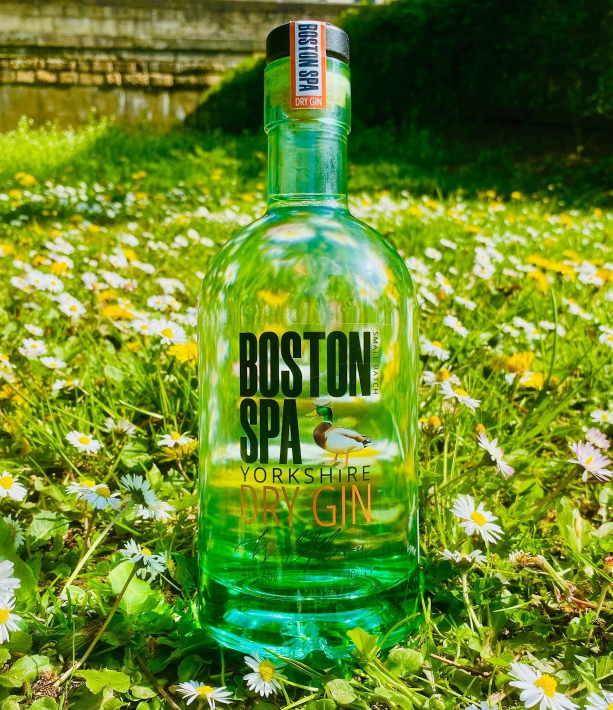 Hand-crafted Boston Spa Gin | Boston Spa Gin